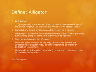 Alligators | PPTX