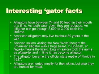 Alligators | PPT