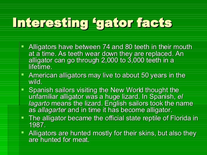 Alligators