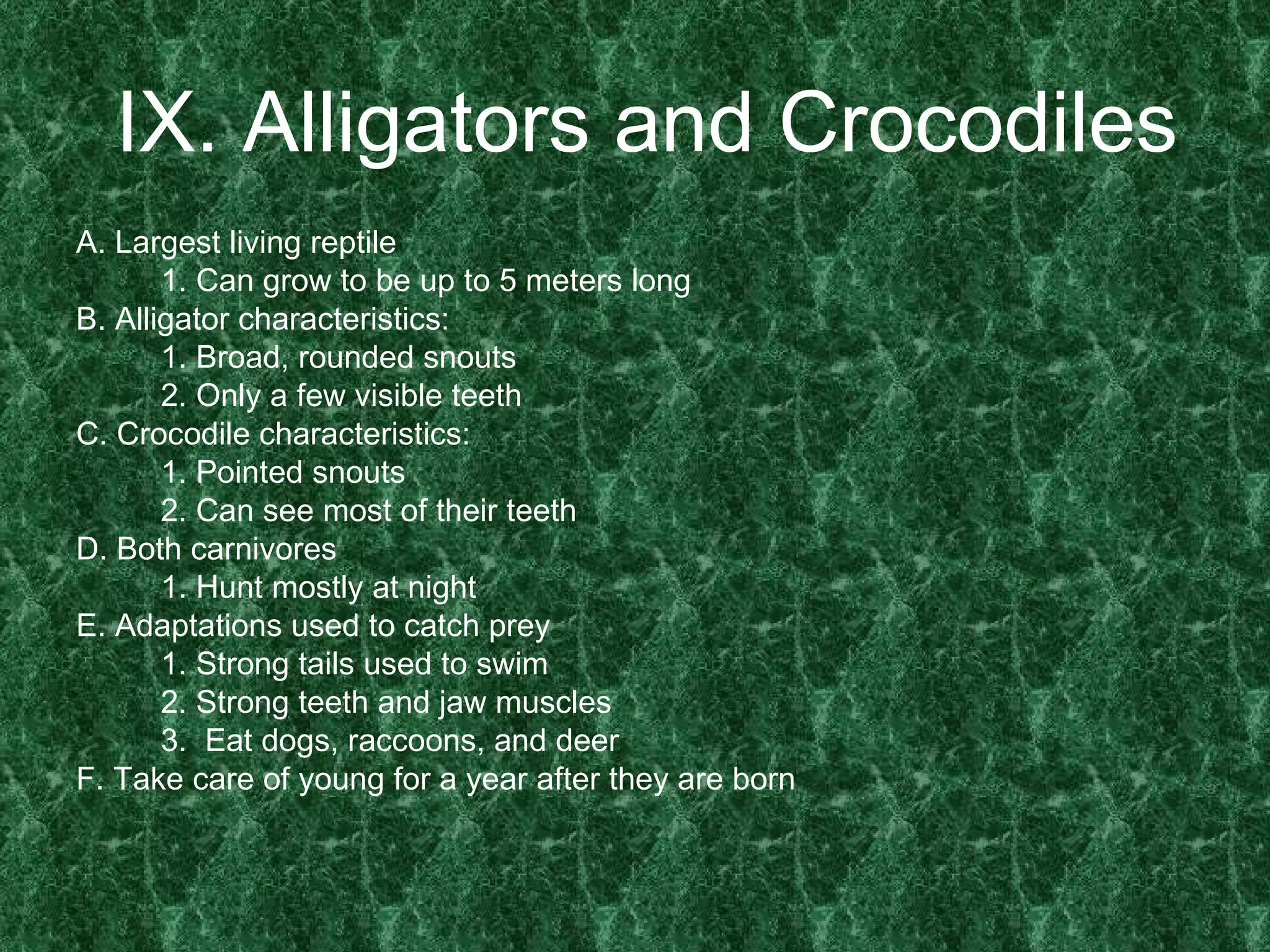Alligators And Crocodiles | PPT