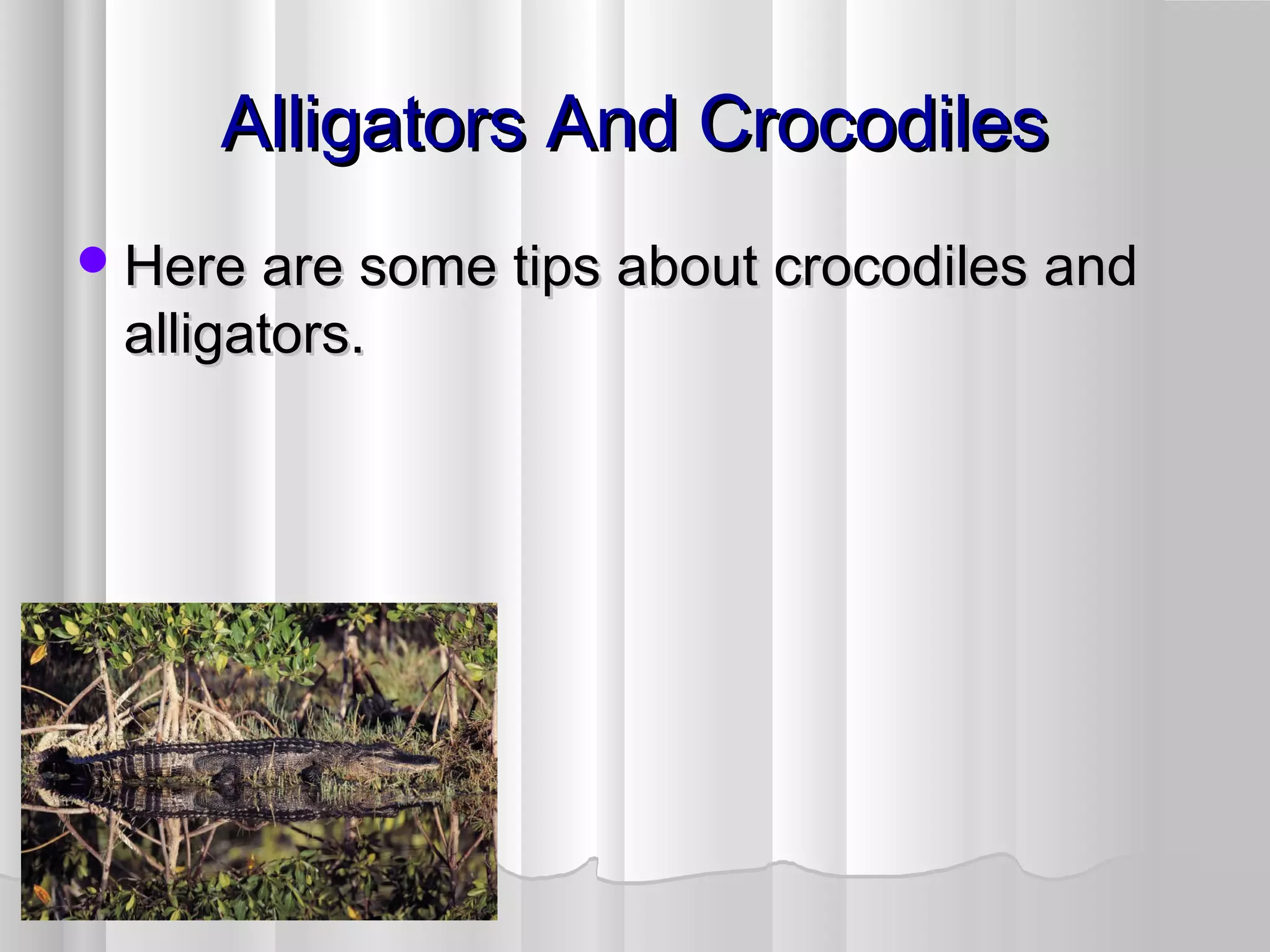 Alligators and crocodiles talia | PPT