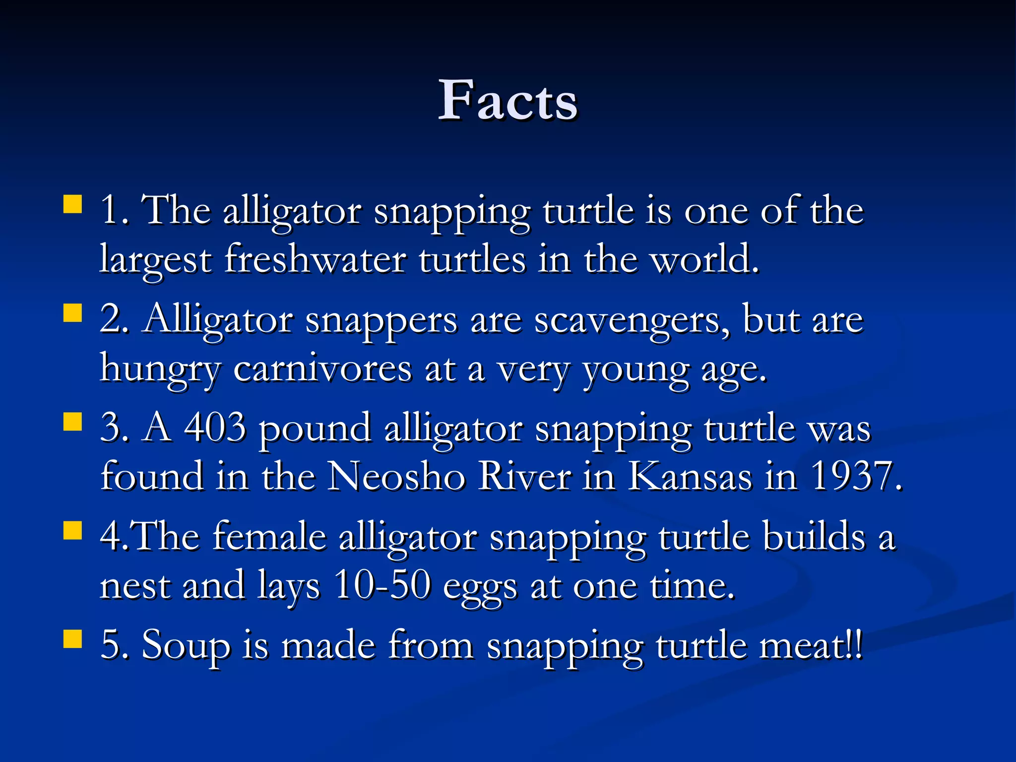 Alligator snapping turtles | PPT