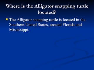 Alligator snapping turtles | PPT