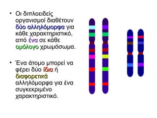 Αλληλόμορφα γονίδια | PPT