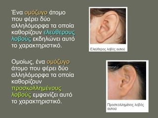 Αλληλόμορφα γονίδια | PPT