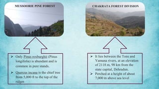 ALL INDIA STUDY TOUR PPT (FOWE- FORESTRY) -MALOTH SURESH.pptx