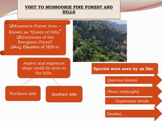 all india tour present.pptx