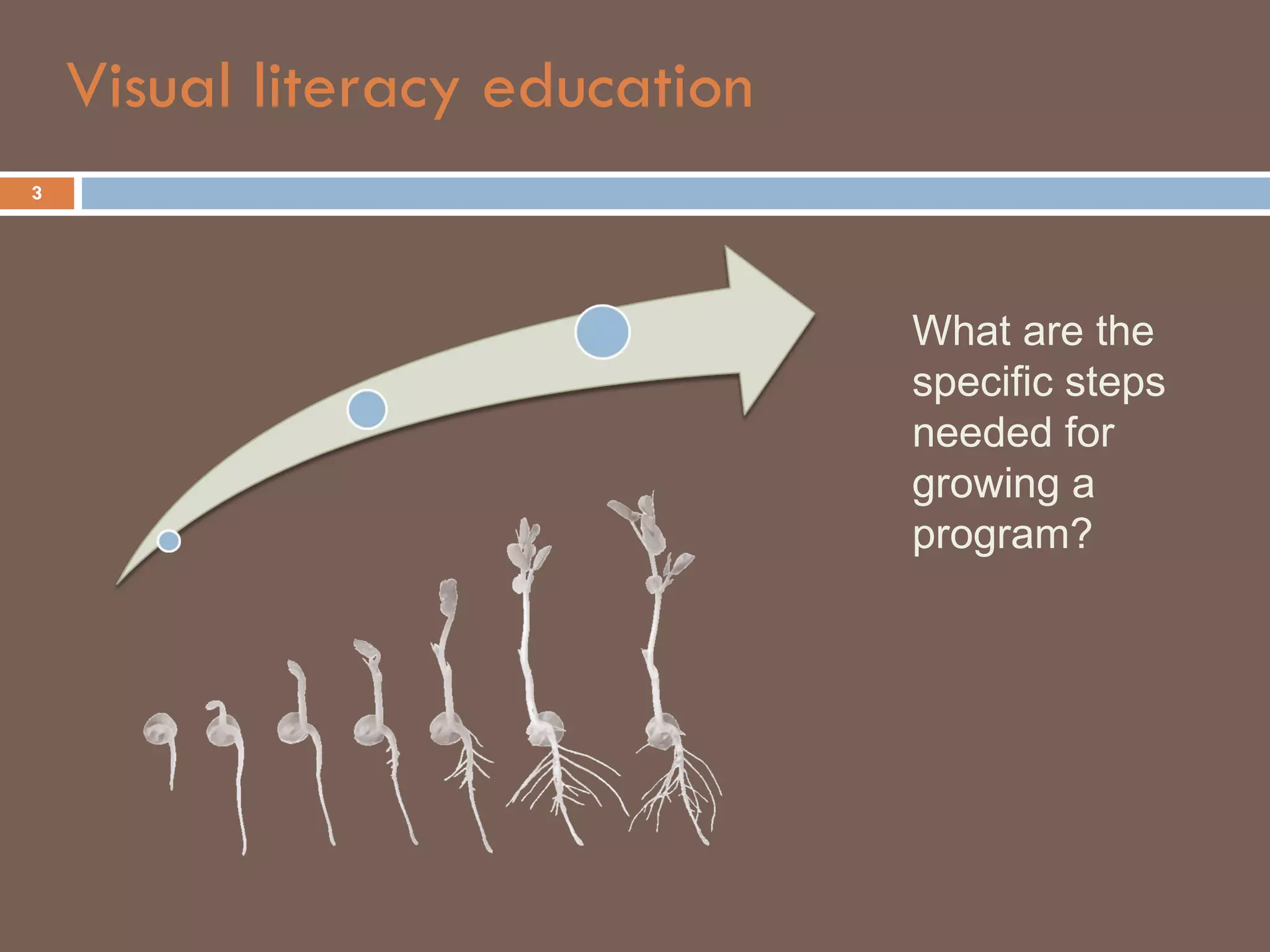 Visual Literacy Across Campus: A Grassroots Approach | PPT