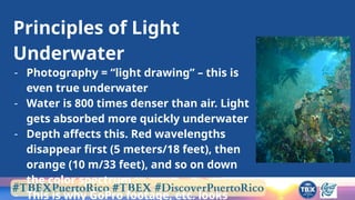Demystifying Underwater Photography and Videography: How to Get Epic ...