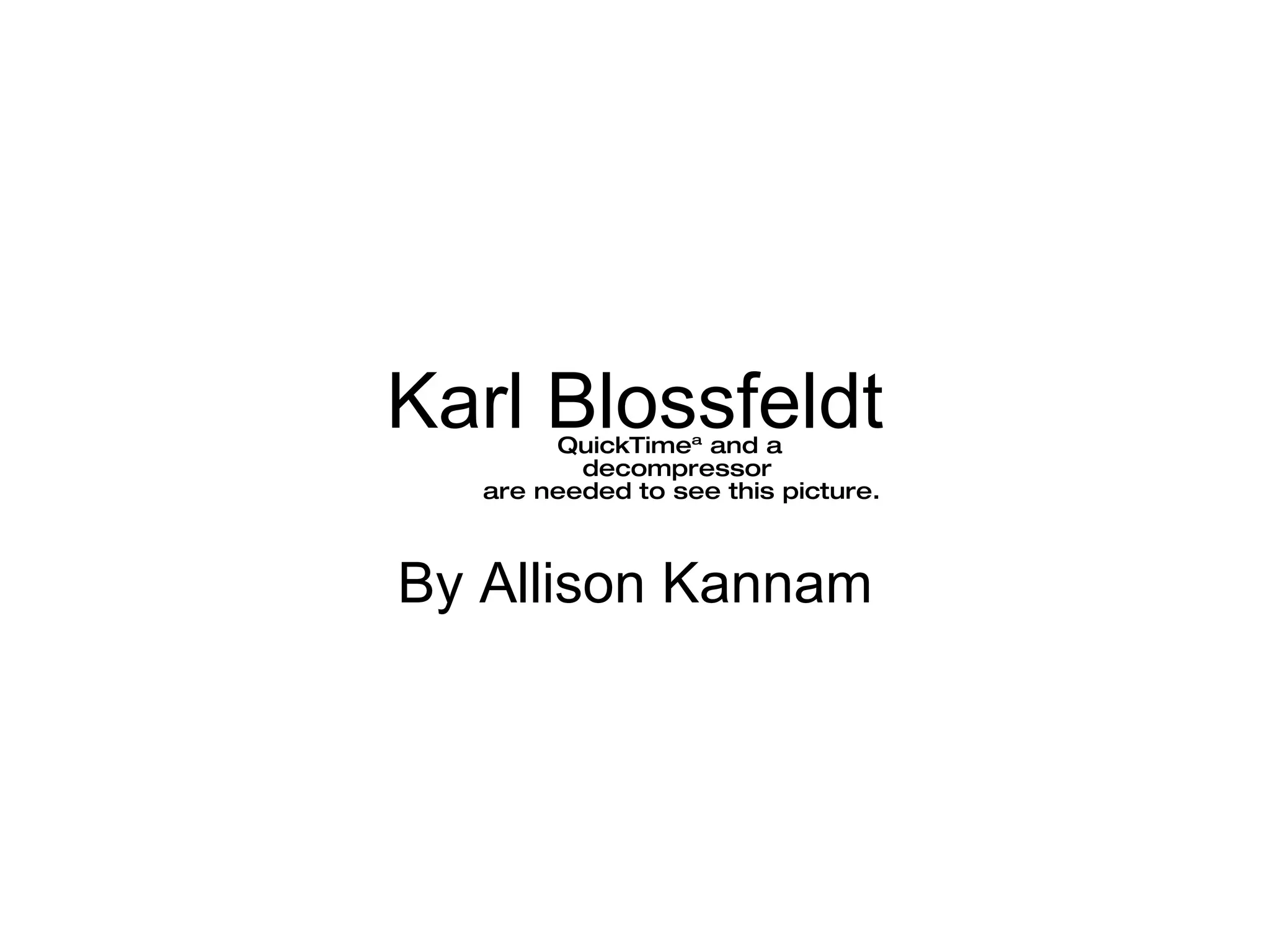 kannam blossfeldt | PPT