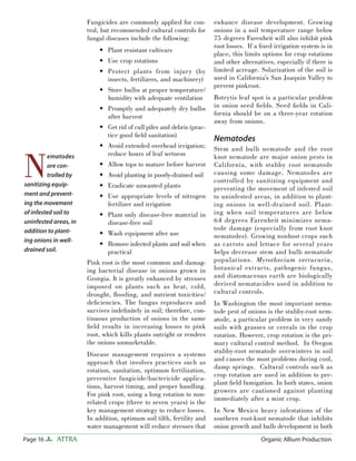 Organic Allium Production | PDF