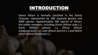 ALLIUM SATIVUM.pptx