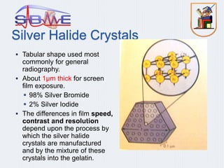 Medical Equipment lec 7 Radiography detectors | PPT