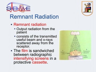 Medical Equipment lec 7 Radiography detectors | PPT