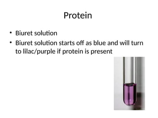 all living are made up from biological molecule | PPT