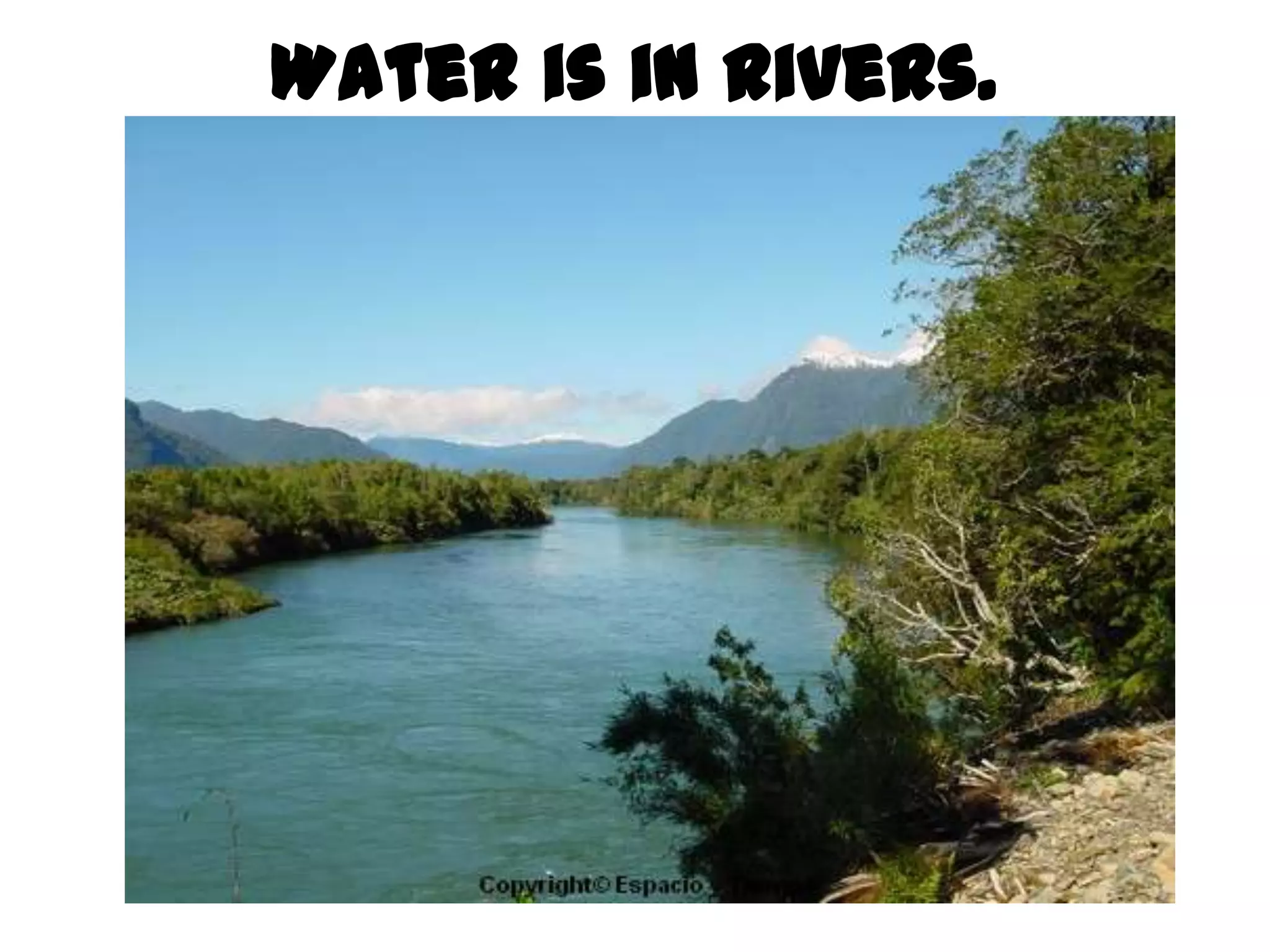 All living things need water | PPT