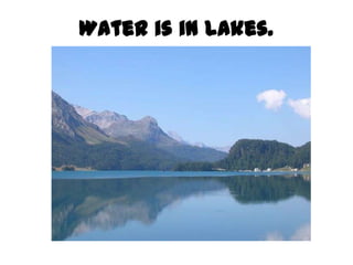 All living things need water | PPT