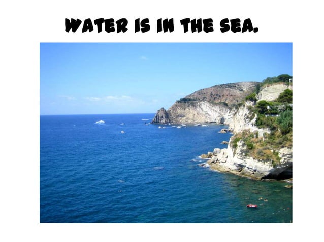 All living things need water | PPTX