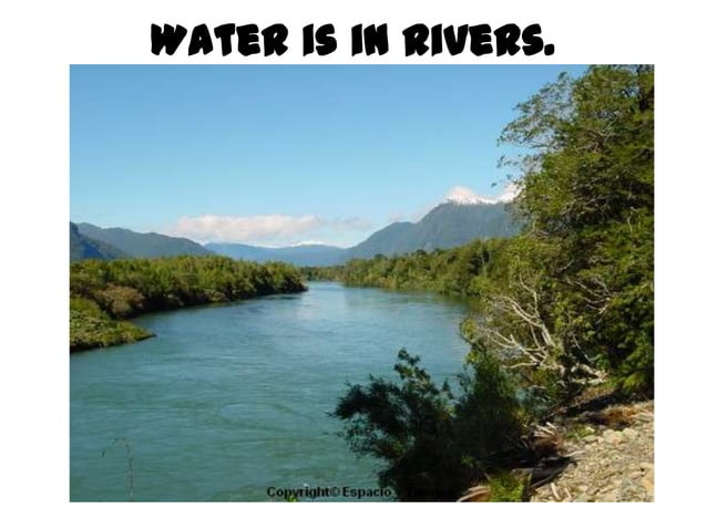 All living things need water | PPTX