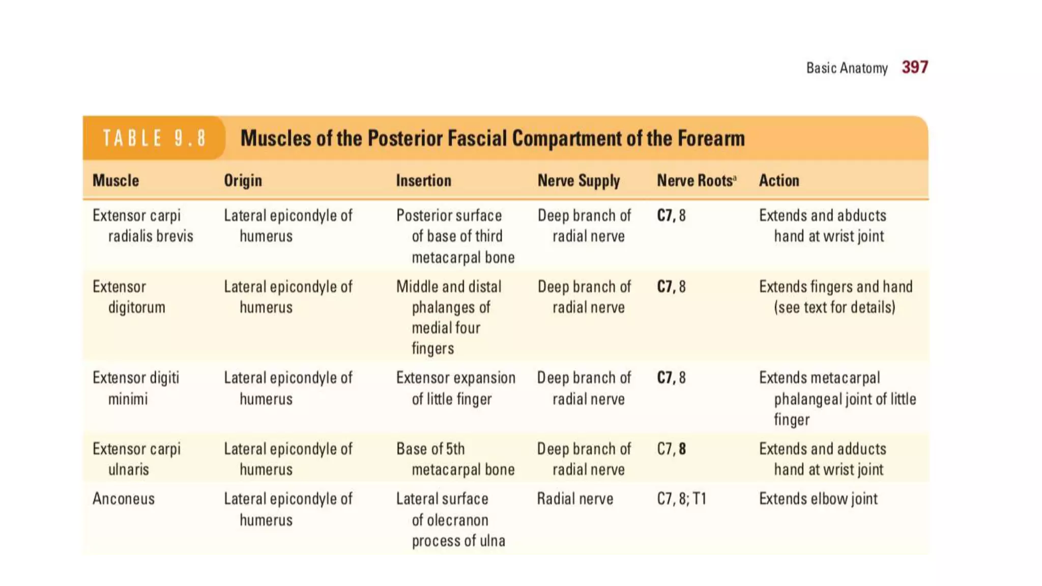 All muscles of upper and lower limbs MSS block | PPTX