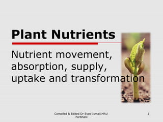 Plant Nutrients | PPT