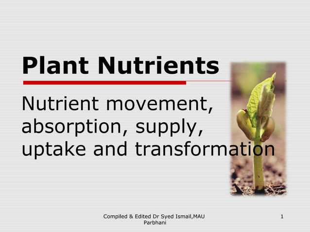 Plant Nutrients | PPT