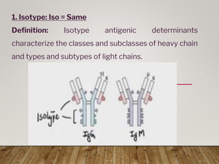 Immunoglobulin gene expression-allotypes,idiotypes,isotype of Ab.pdf
