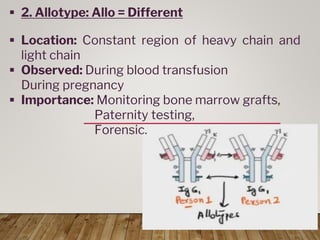 allo,idio,isotype of Ab.pdf immunoglobulin allotypes | PPT