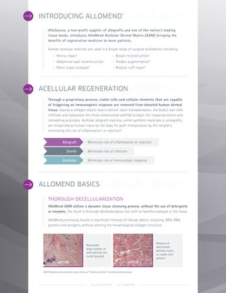 Allomend adm Brochure | PDF