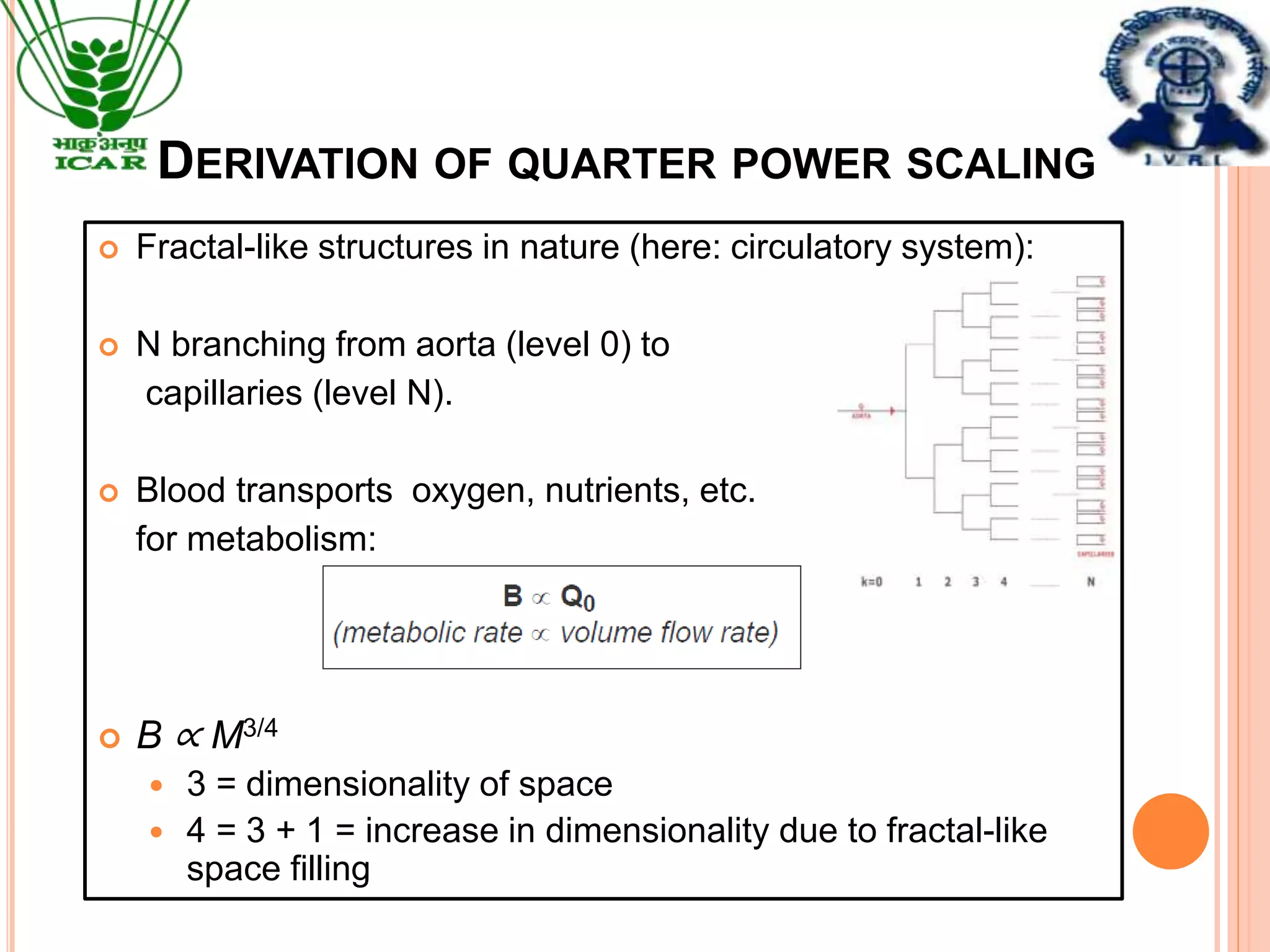 Applications of allometric principles in animal nutrition nresearch | PPTX