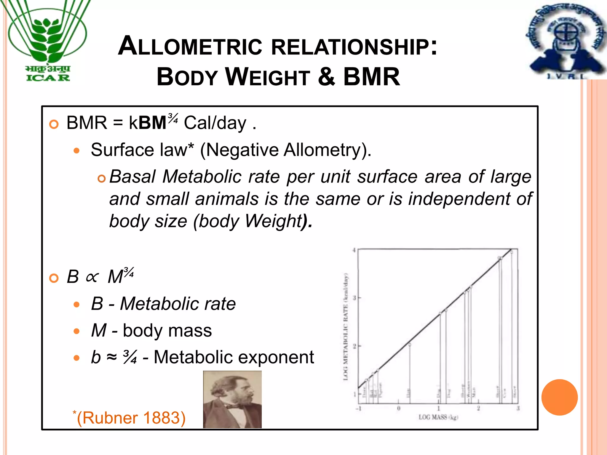 Applications of allometric principles in animal nutrition nresearch | PPTX