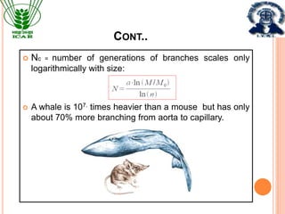 Applications of allometric principles in animal nutrition nresearch | PPTX