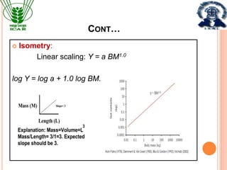 Applications of allometric principles in animal nutrition nresearch | PPTX