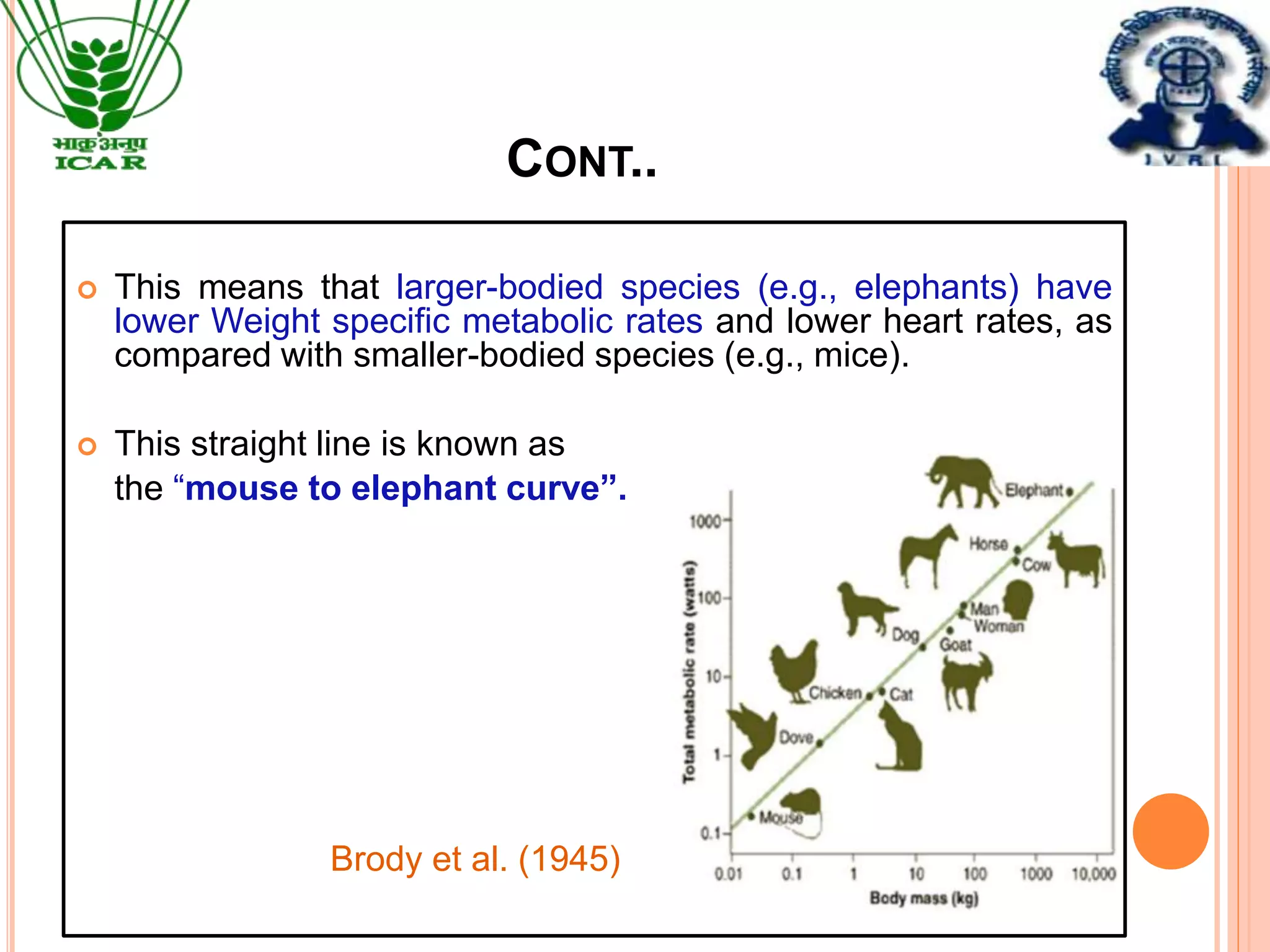 Applicatiojns of Allometric principles in animal nutrition research | PPTX