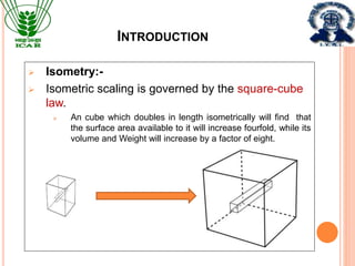 Applicatiojns of Allometric principles in animal nutrition research | PPTX