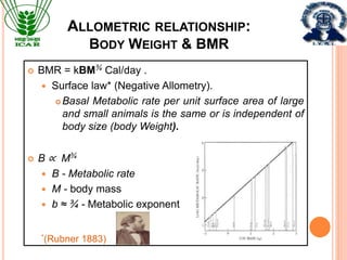 Applicatiojns of Allometric principles in animal nutrition research | PPTX