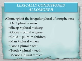 allomorph and morphology | PPTX