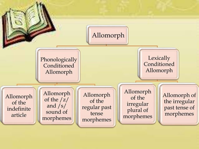 allomorph and morphology | PPTX