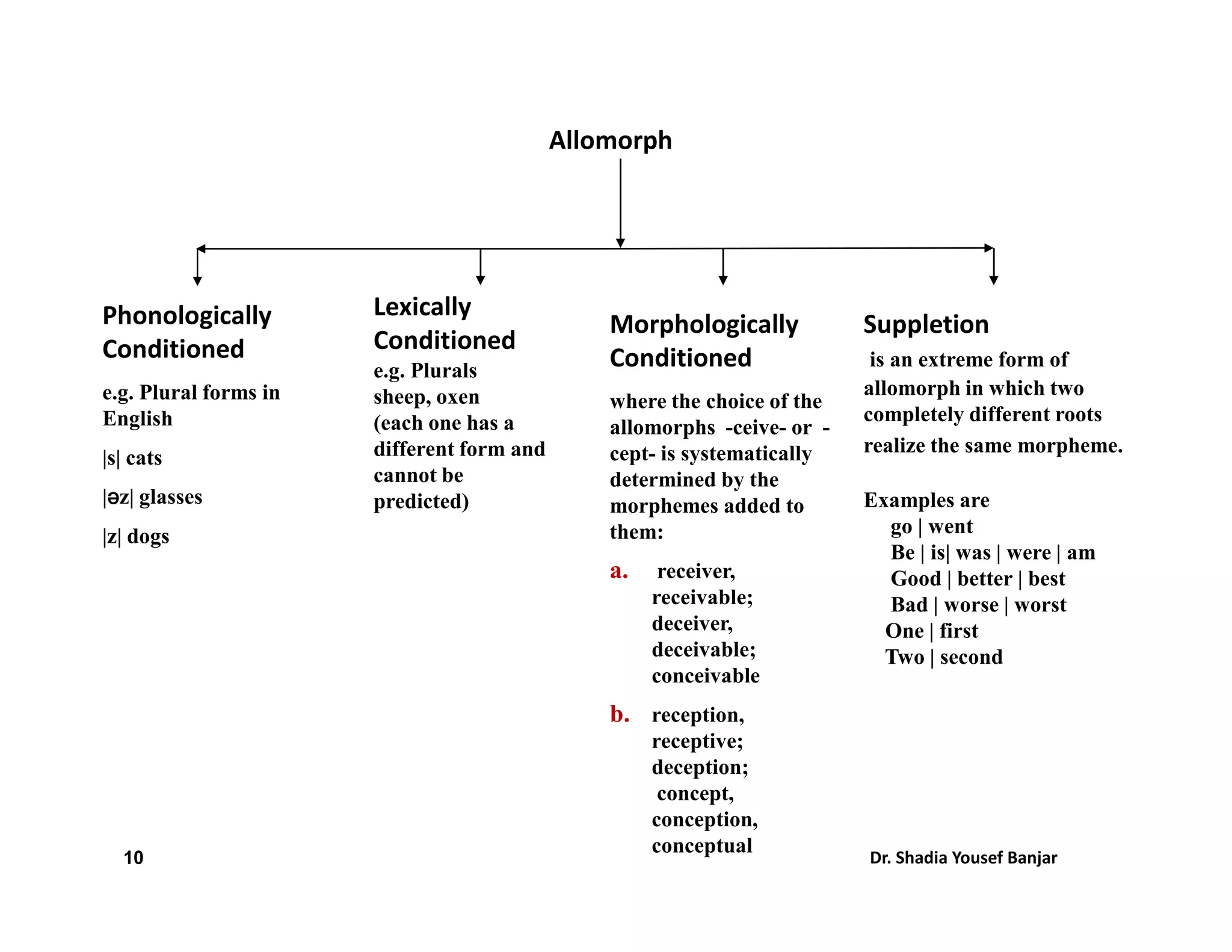 Allomorphs - Dr. Shadia Yousef Banjar | PDF
