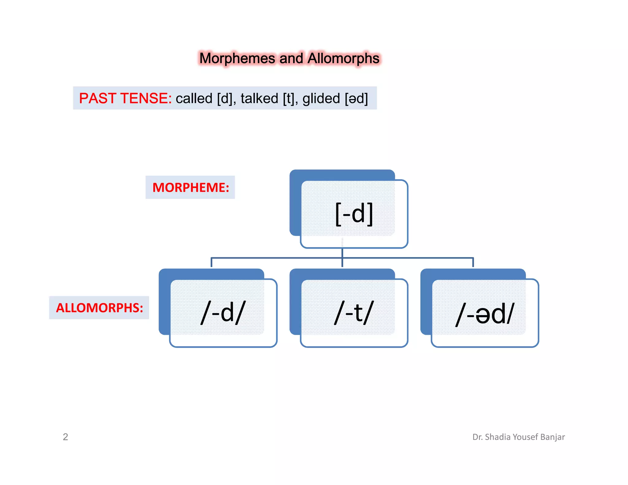 Allomorphs - Dr. Shadia Yousef Banjar | PDF