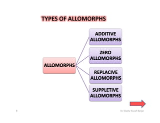 Allomorphs - Dr. Shadia Yousef Banjar | PDF