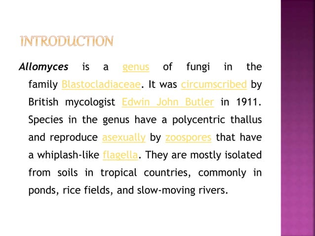 Allomyces | PPT