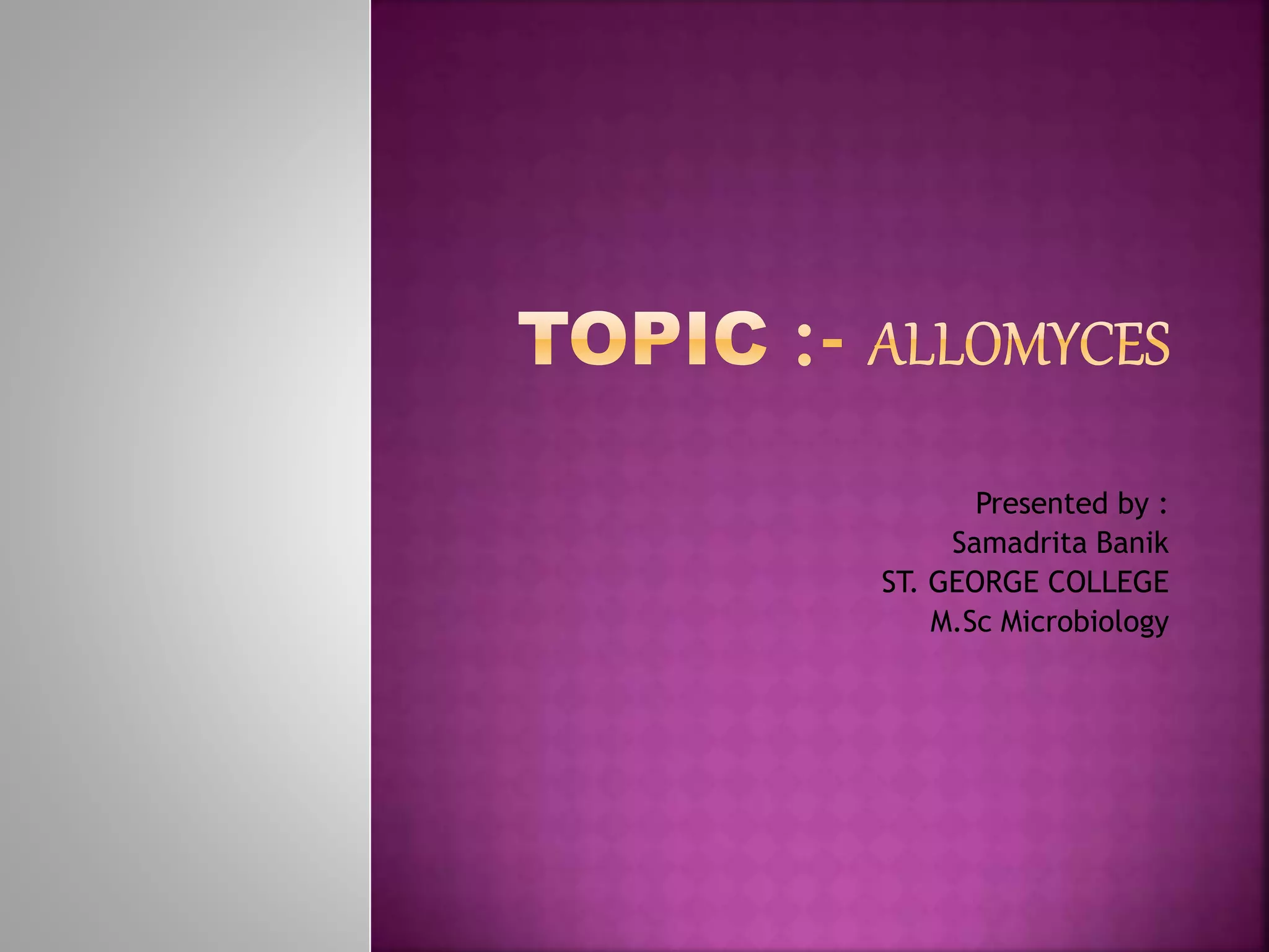 Allomyces | PPTX
