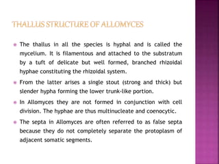 Allomyces | PPTX