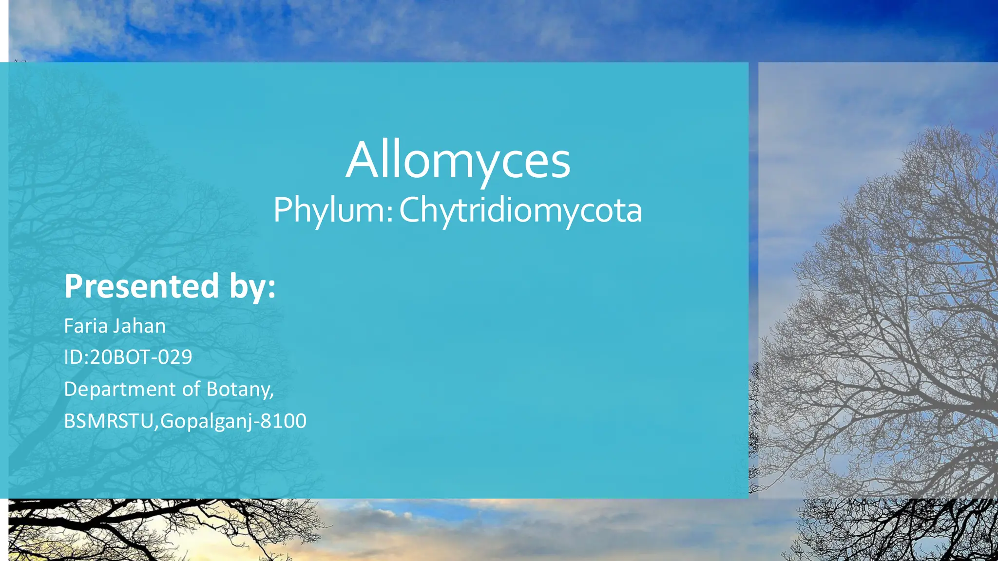 Allomyces classification,Introduction,Life Cycle.pdf