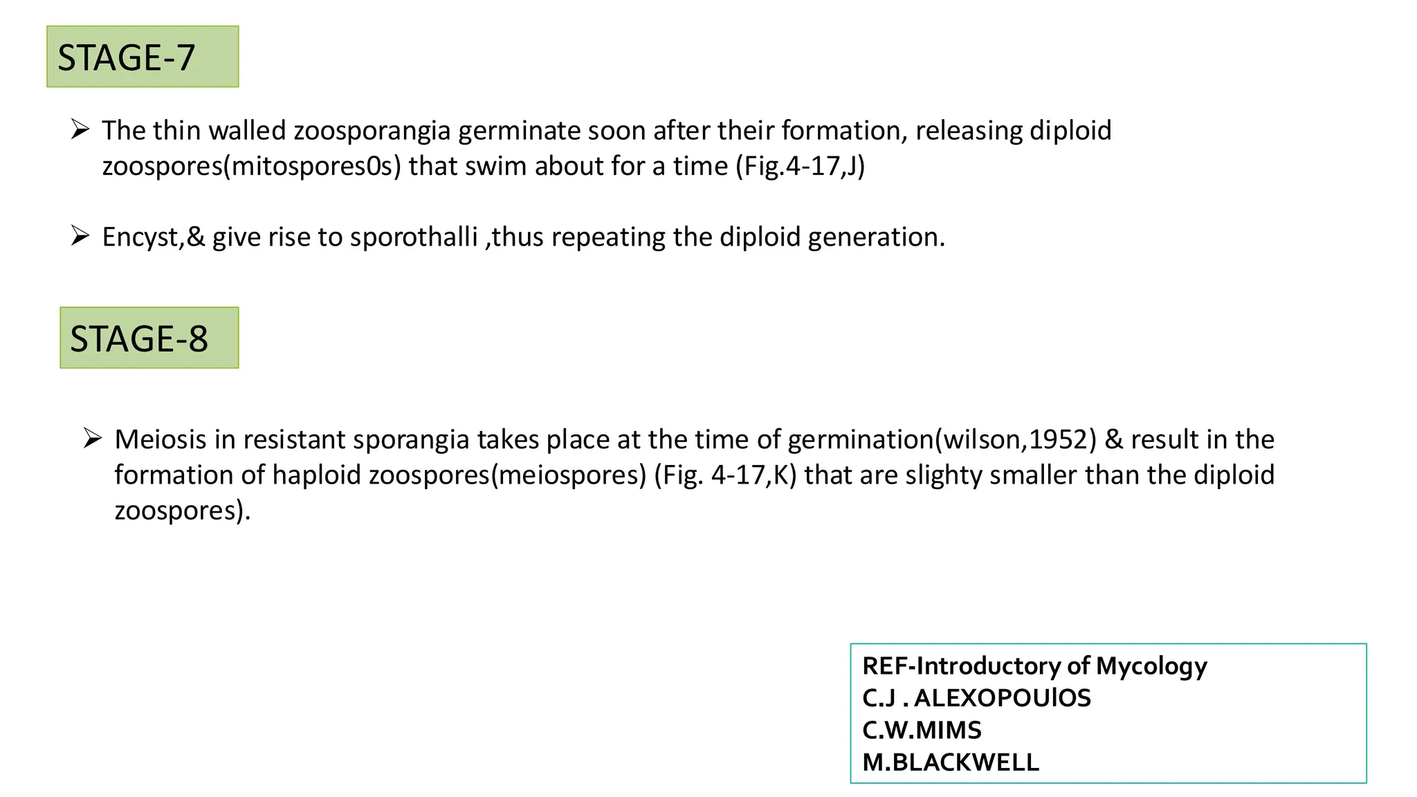 Allomyces classification,Introduction,Life Cycle.pdf
