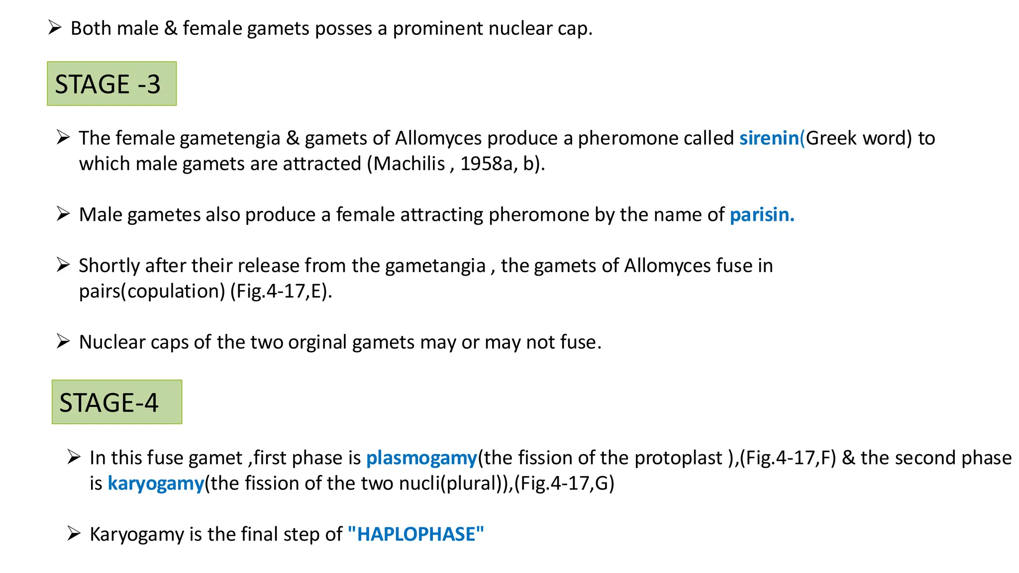 Allomyces classification,Introduction,Life Cycle.pdf