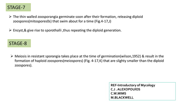 Allomyces classification,Introduction,Life Cycle.pdf