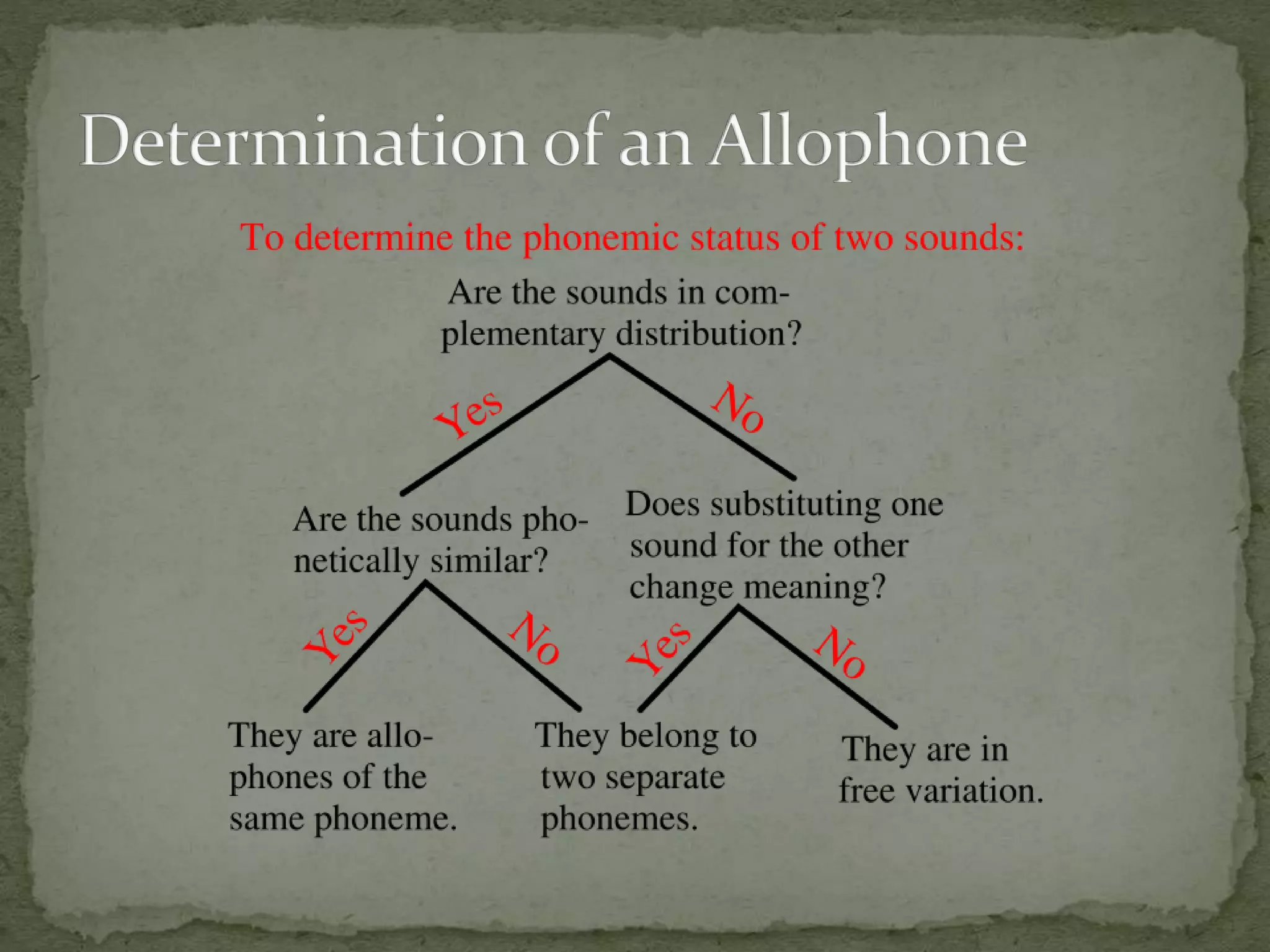 Allophone presentation | PPTX