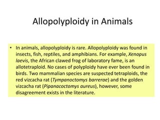 Allopolyploid | PPTX